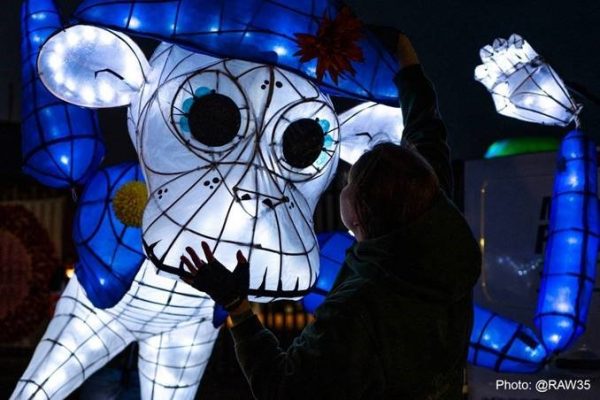 Artist From Billingham Celebrates 20 Years In Business